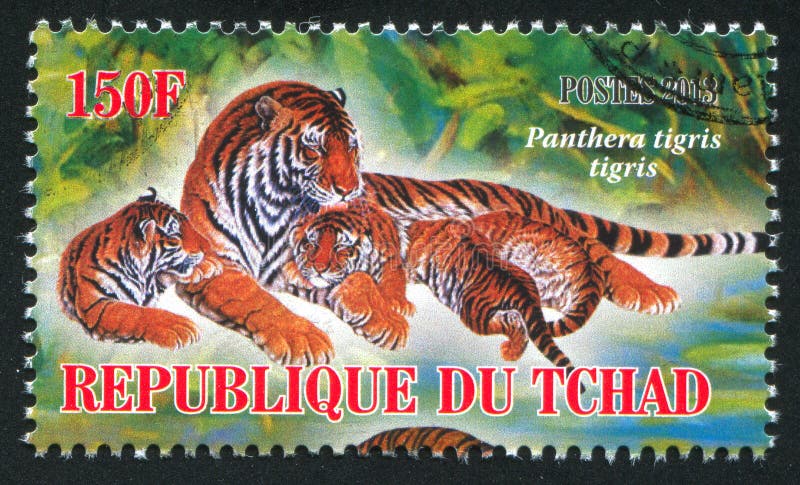 Tiger editorial photo. Image of hair, anger, orange - 314444691