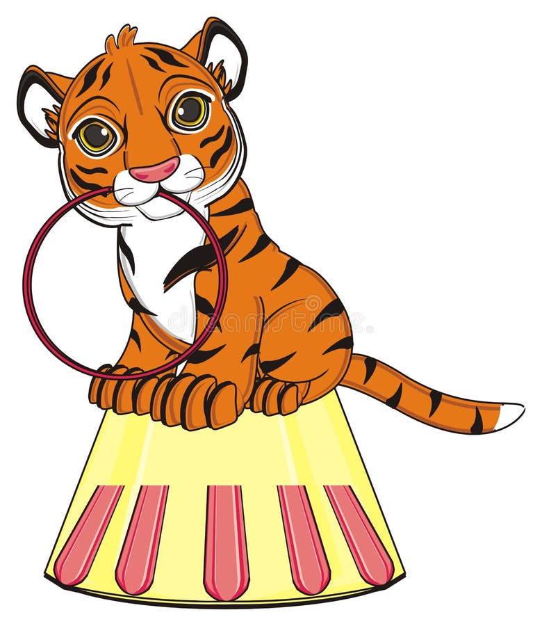 Tiger on circus stock illustration. Illustration of circus - 84032883