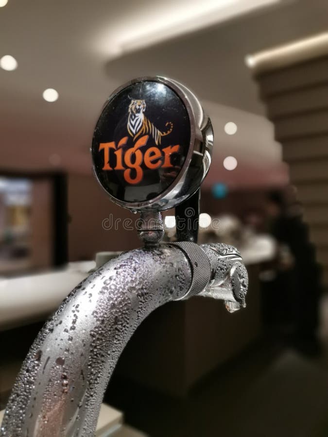 Tiger Cold Beer at Bar Counter Hotel Editorial Stock Photo - Image of ...