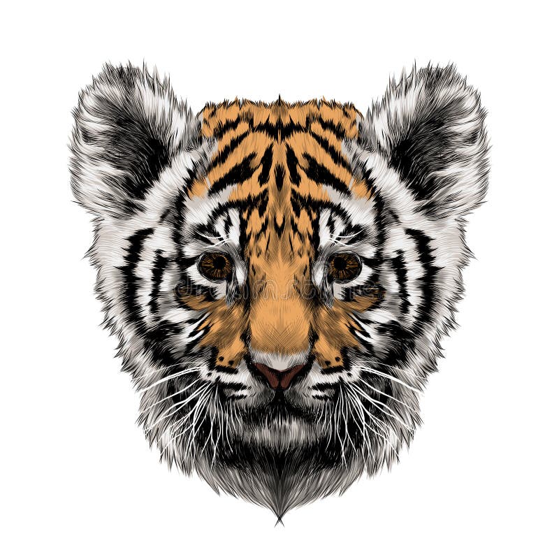 Cub Head Stock Illustrations – 3,814 Cub Head Stock Illustrations ...