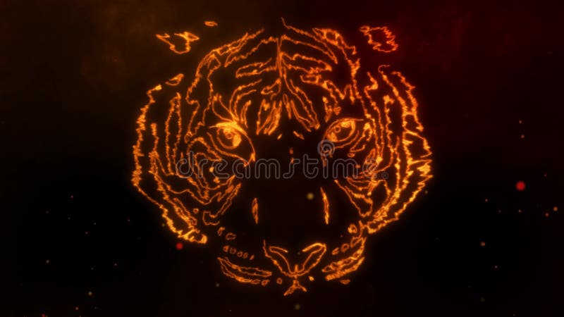Tiger Eyes Blinking Loop. Animation of Tiger Eyes with Laser and Fire ...