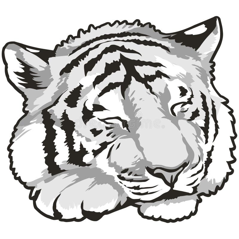 Tiger Face Expression Illustration. Tattoo Art. Vector. Stock Vector ...