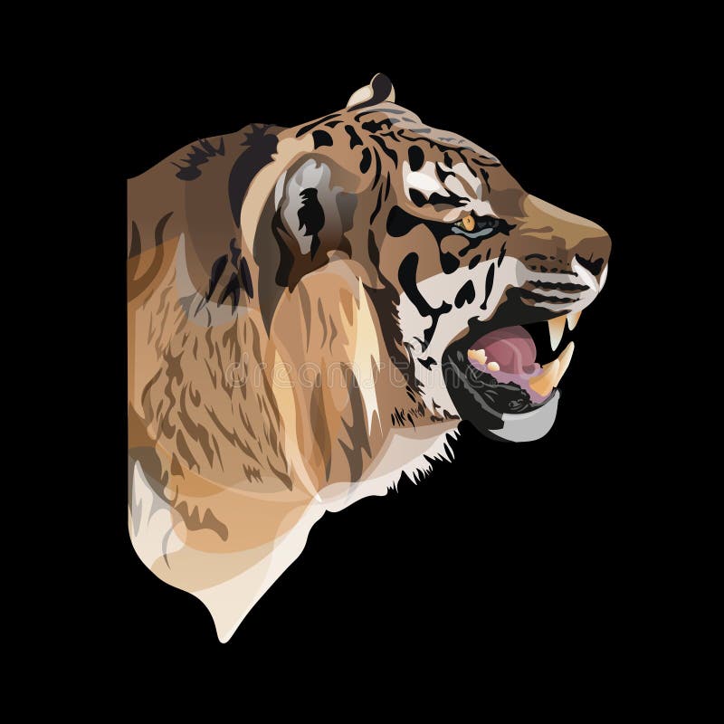 Tiger Face Side Profile Stock Illustrations – 194 Tiger Face Side ...