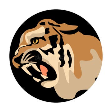 Tiger Face Side Profile Stock Illustrations – 194 Tiger Face Side ...