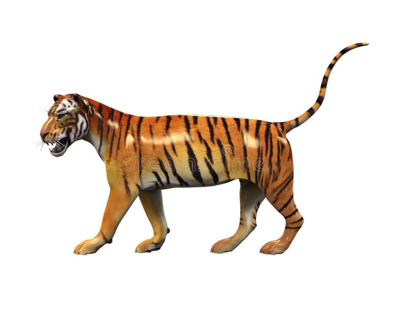 Tiger Figure Isolated stock illustration. Illustration of animals ...