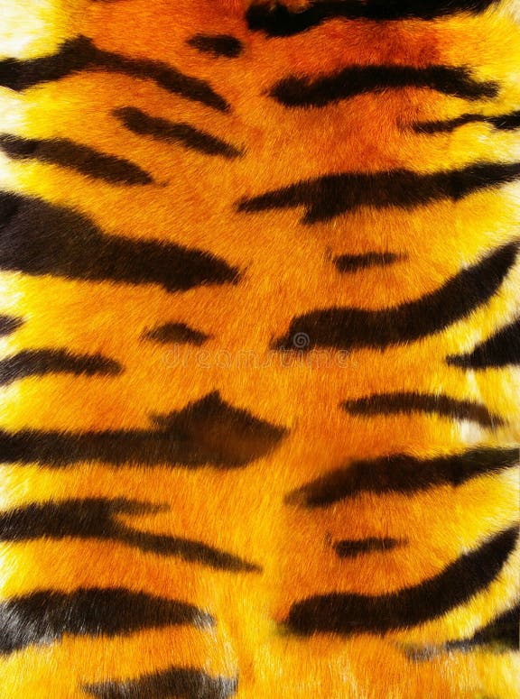 Tiger fur stock photo. Image of exotic, close, decor, asia - 3905146