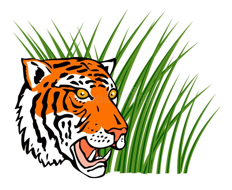 Tiger in the Grass on Prowl Stock Illustration - Illustration of mammal ...