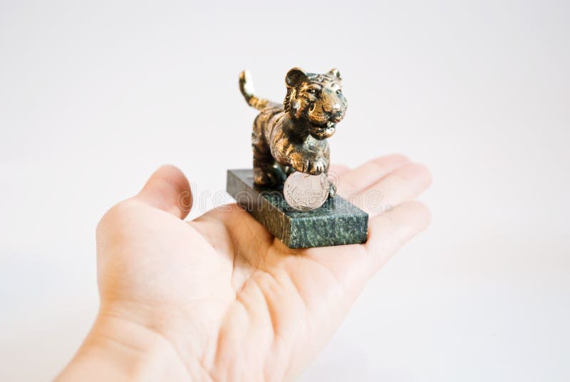 Tiger on a hand stock photo. Image of bronze, gift, coin - 12745950