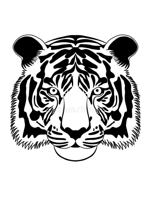 Tiger Head Black and White Vector Illustration Stock Illustration ...