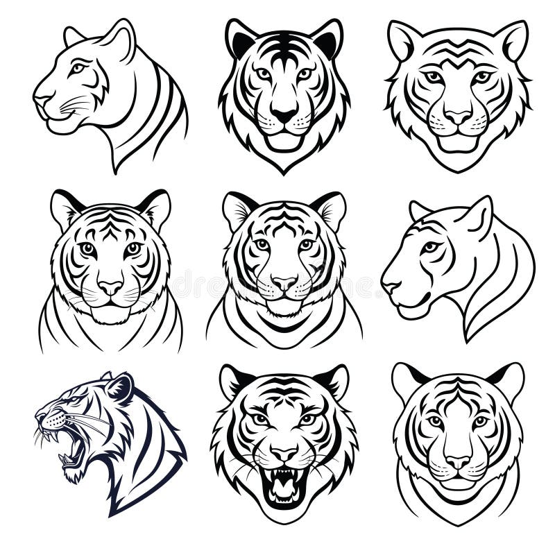 Tiger Head Line Art Set on White Background Stock Vector - Illustration ...
