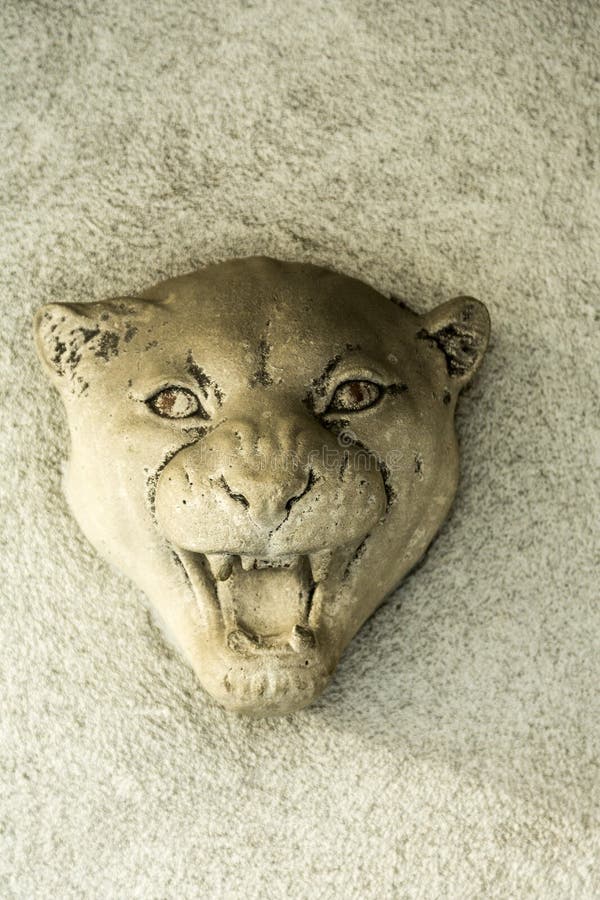 Tiger head stock image. Image of wild, relief, dangerous - 93669623