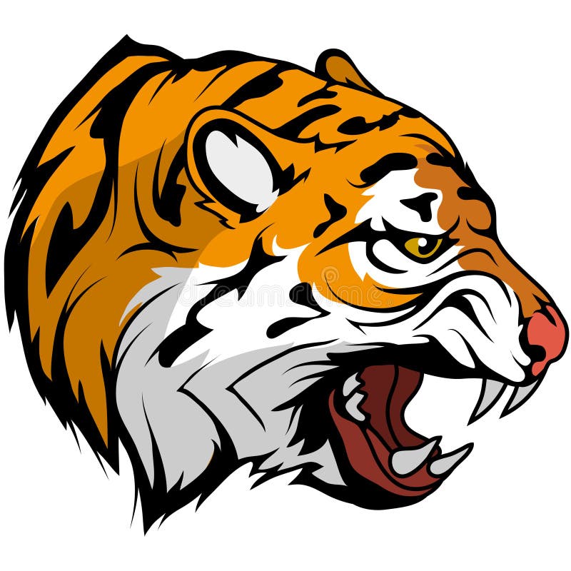 Tiger Head Vector Drawing, Tiger Face Drawing Sketch, Tiger Head ...