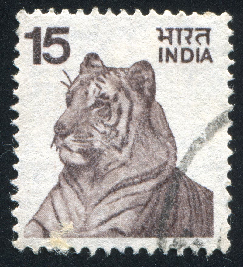 Tiger editorial image. Image of aggression, nature, 1965 - 240595510