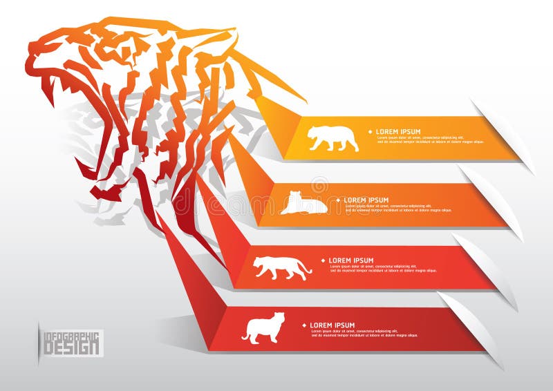 Tiger Infographic. Vector Illustration Decorative Design Stock ...