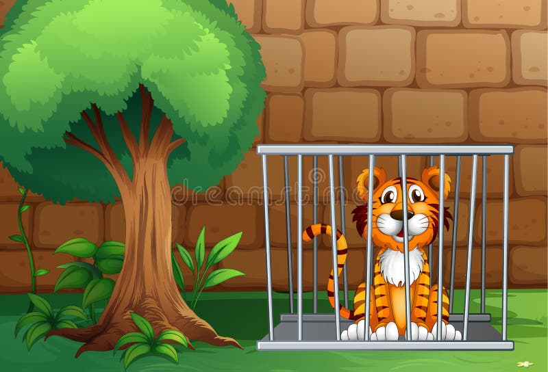 A Tiger Inside The Animal Cage Stock Illustration - Illustration of ...