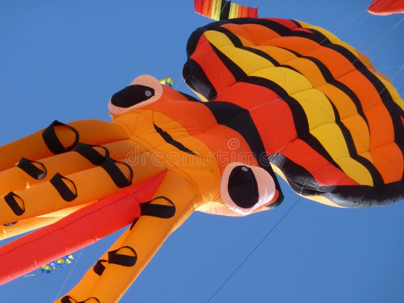 Tiger Kite stock photo. Image of black, festival, orange - 27518730