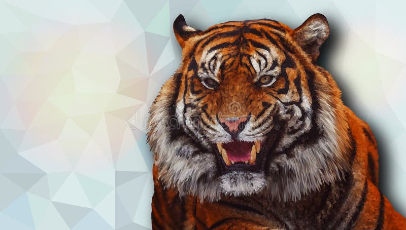Tiger in the Low Poly Style. Vector Illustration. Stock Vector ...