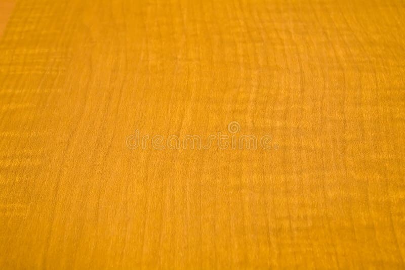 Tiger Maple Background stock photo. Image of wild, tiger - 3807166