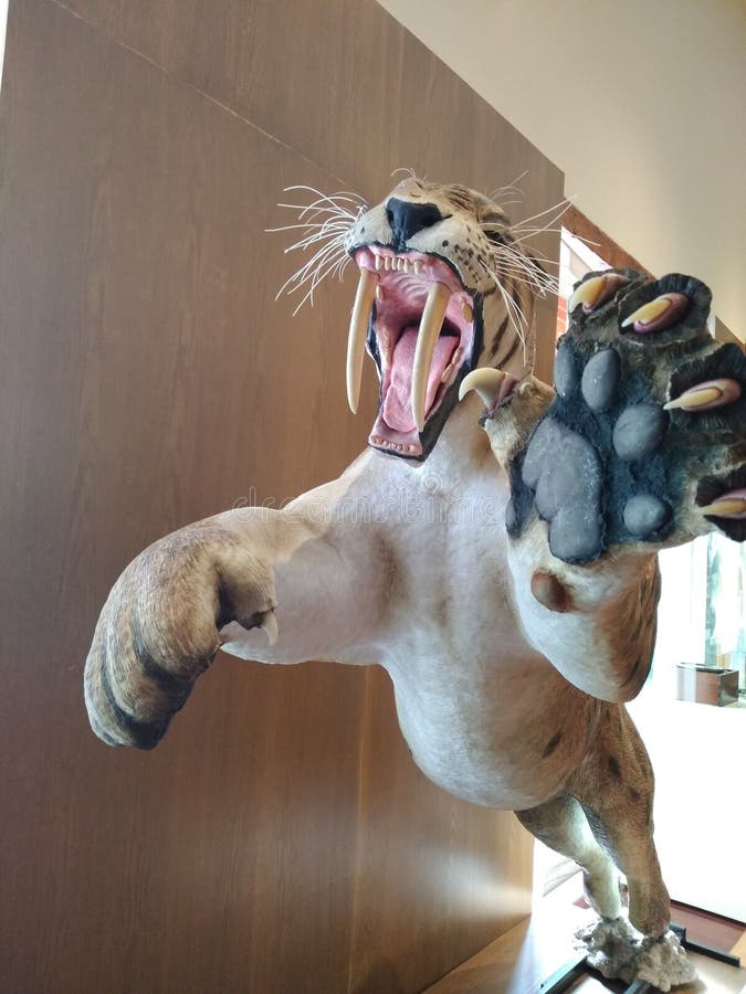 Tiger editorial stock image. Image of inschool, expo - 138460704