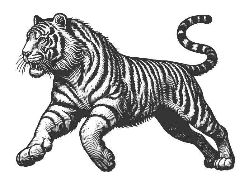Tiger in Mid-Stride Engraving Vector Illustration Stock Vector ...
