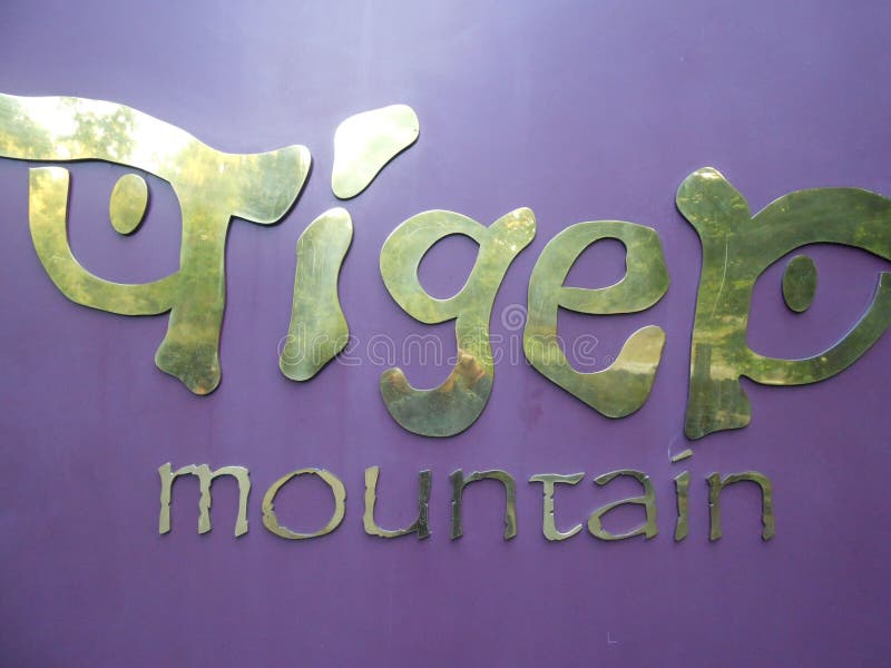 Tiger Mountain stock photo. Image of tigers, power, hunt - 44783556