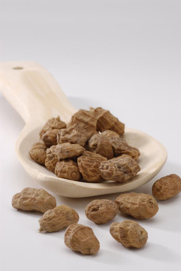 659 Tiger Nut Stock Photos - Free & Royalty-Free Stock Photos from ...