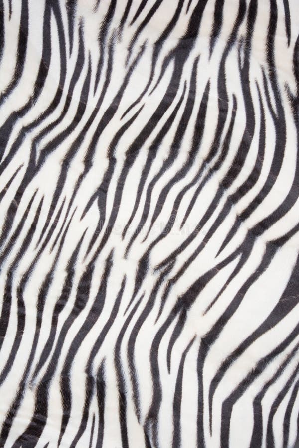 Tiger pattern stock photo. Image of bengal, white, real - 43459164