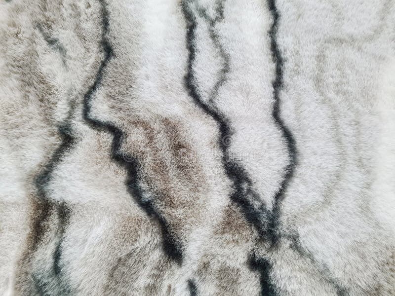 Tiger Pattern Wool Texture Background Black White Brown Stock Image ...