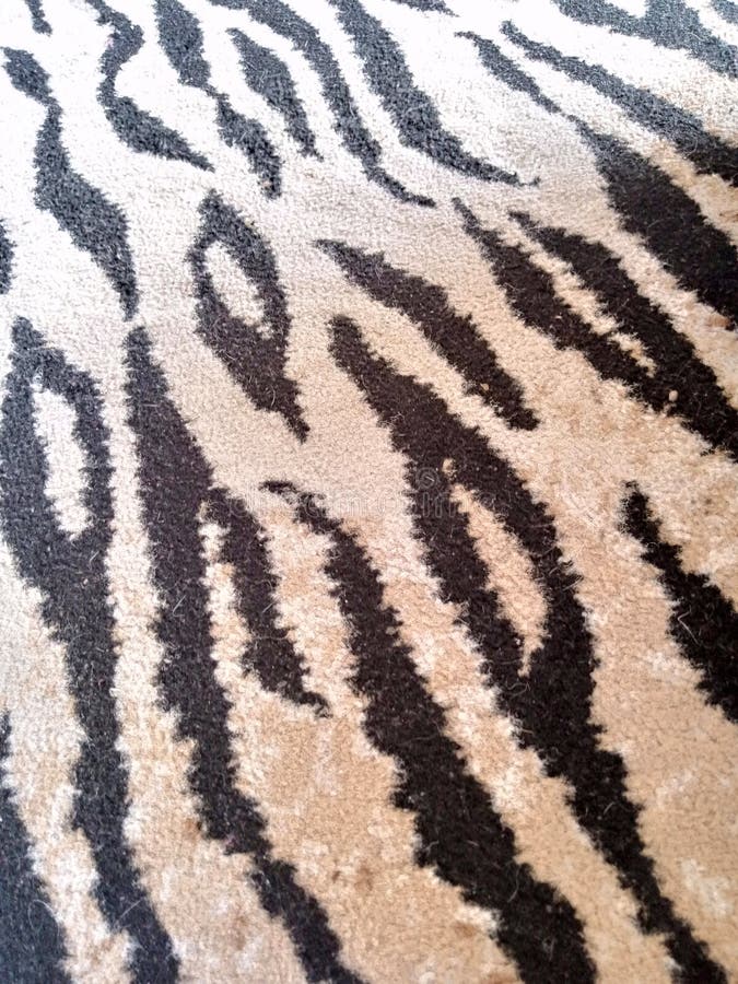 519 Tiger Carpet Stock Photos - Free & Royalty-Free Stock Photos from ...