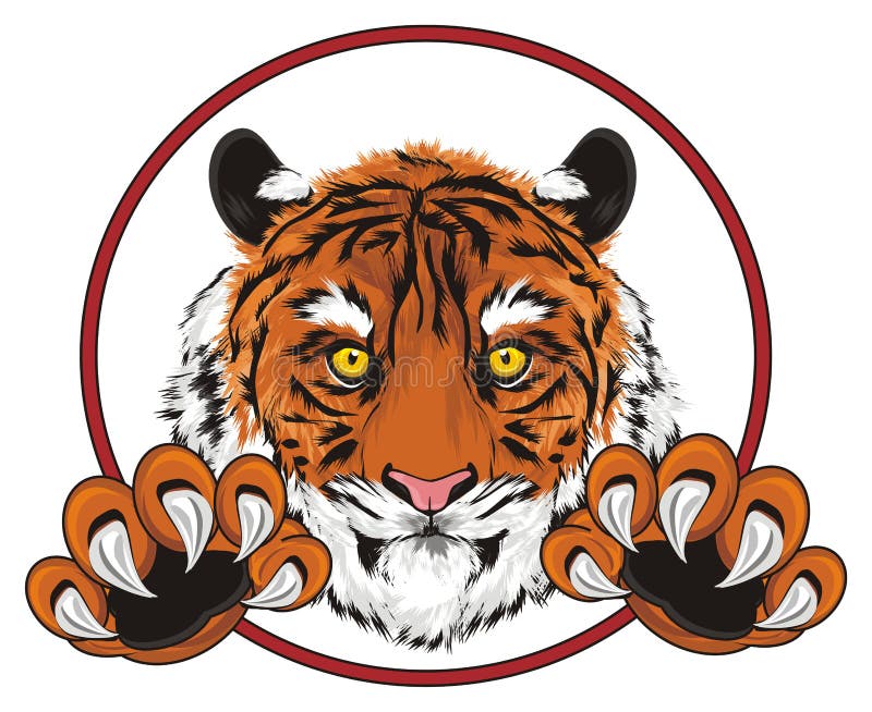 Tiger Paws Front and Back View. Stock Vector - Illustration of ...