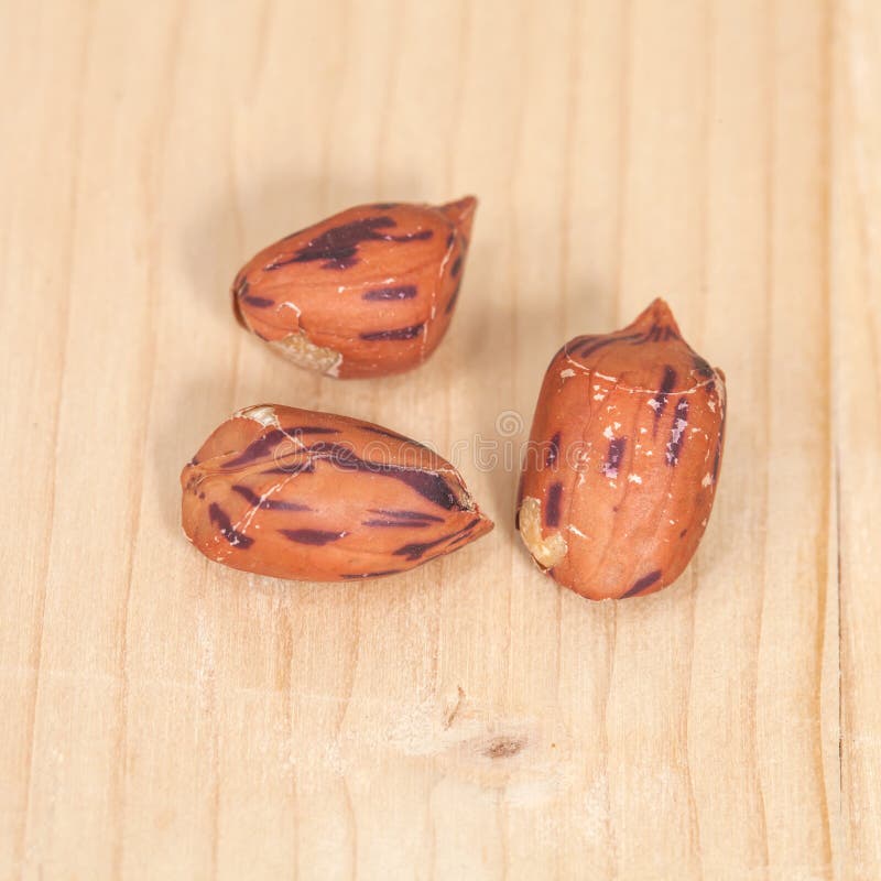 Tiger Peanut in Bowl on Wood Stock Image - Image of vegetable, food ...