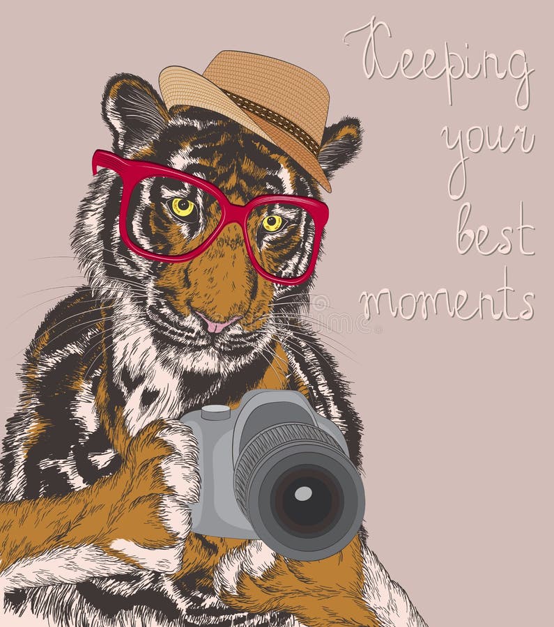 Tiger Photographer with a Camera Stock Vector - Illustration of sketch ...
