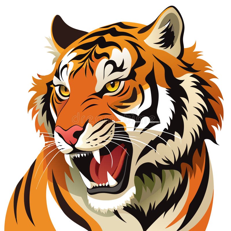 Tiger Pose Collection - Multiple Tiger Poses Vector Illustration Stock ...