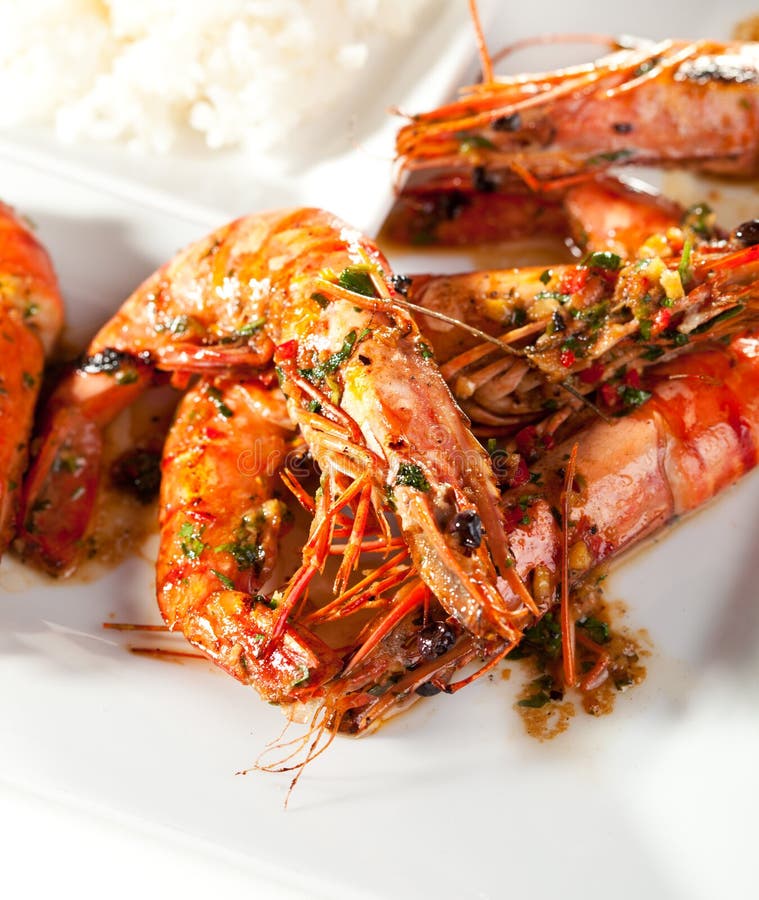 Tiger Prawn stock photo. Image of cuisine, luxury, prawn - 44658518