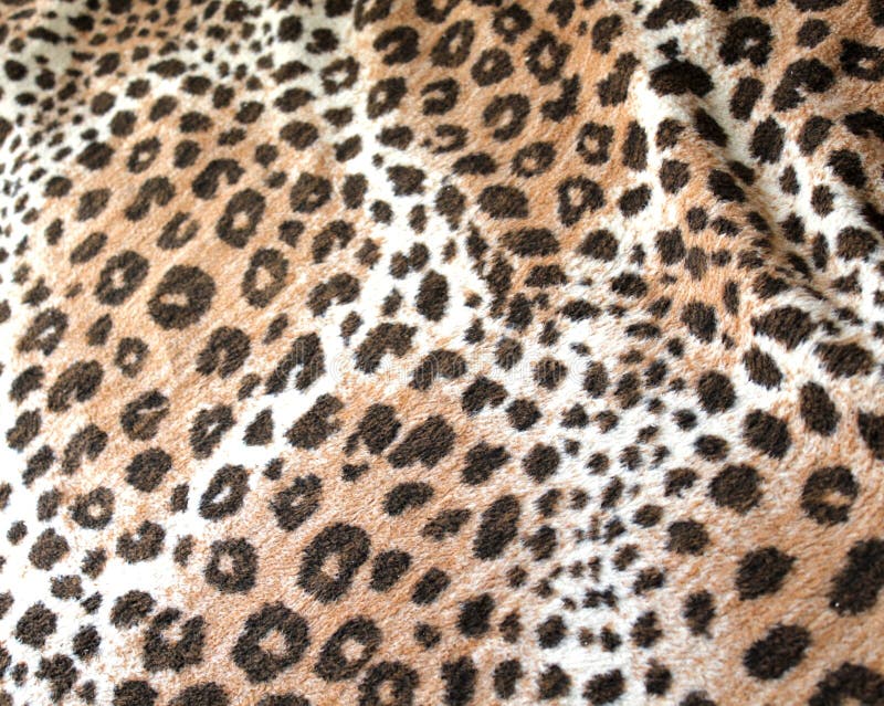 Tiger Print stock photo. Image of colours, danger, print - 23541032