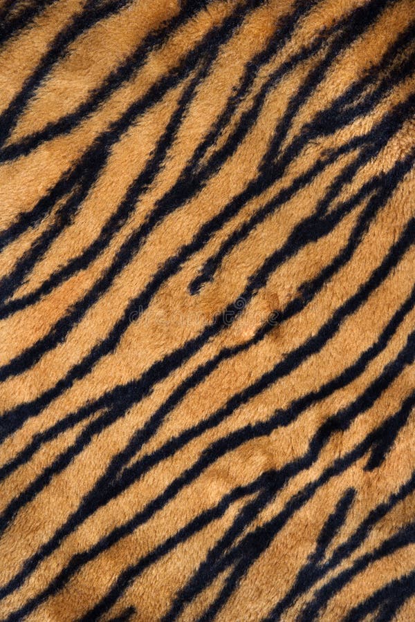 Tiger print carpet stock photo. Image of tiger, carpet - 2045036
