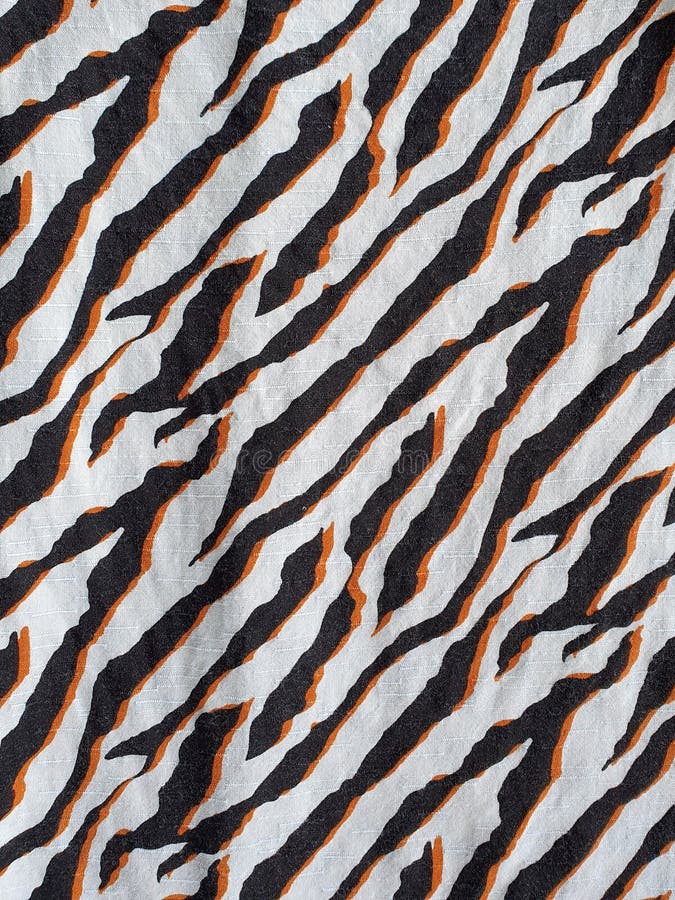 Tiger Print on Material stock image. Image of nature - 177811425