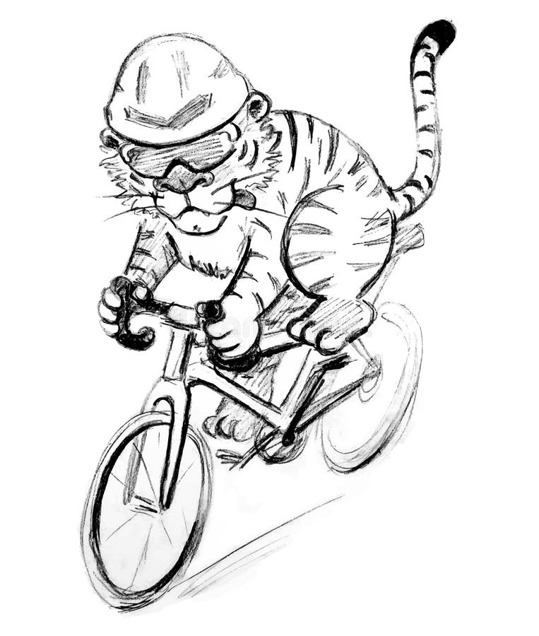 Tiger on a road bicycle stock vector. Illustration of cartoon - 233505976