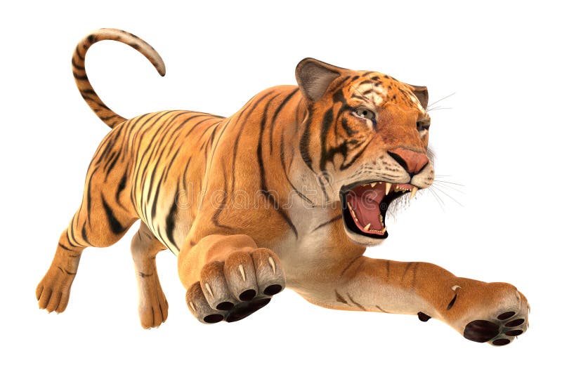 Tiger Running Stock Illustrations – 4,304 Tiger Running Stock ...