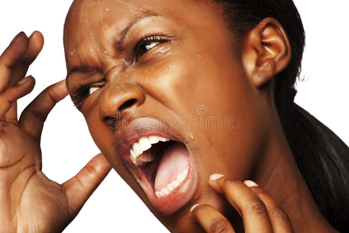 Tiger Shouting Stock Photos - Free & Royalty-Free Stock Photos from ...