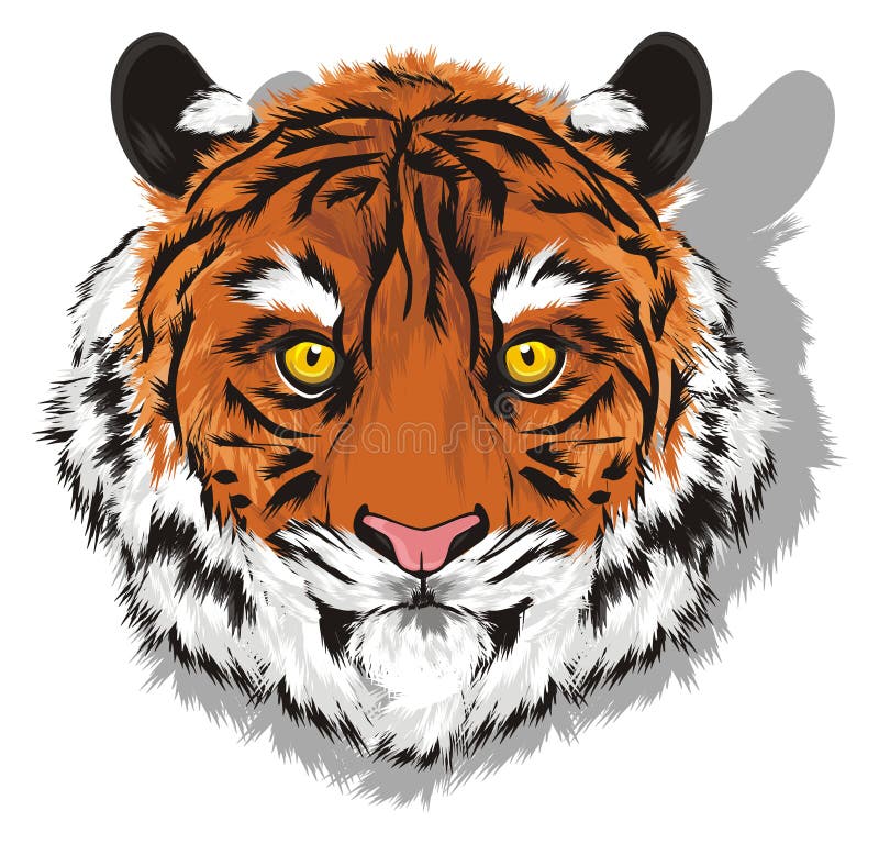 Tiger Shadow Stock Illustrations – 860 Tiger Shadow Stock Illustrations ...