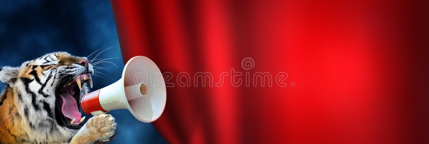 Tiger Shouting Stock Photos - Free & Royalty-Free Stock Photos from ...