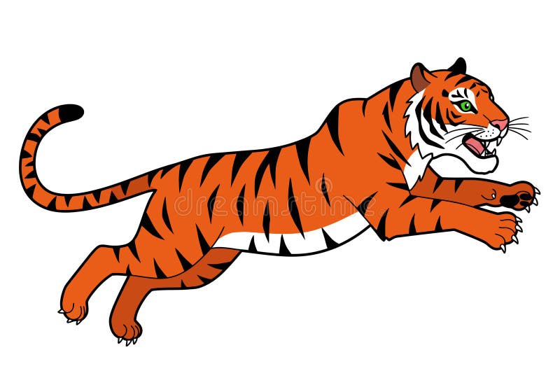 Leaping tiger clipart stock vector. Illustration of orange - 364619504