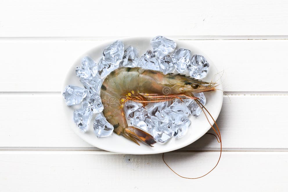 Tiger shrimp in ice cubes stock photo. Image of wooden - 36576232