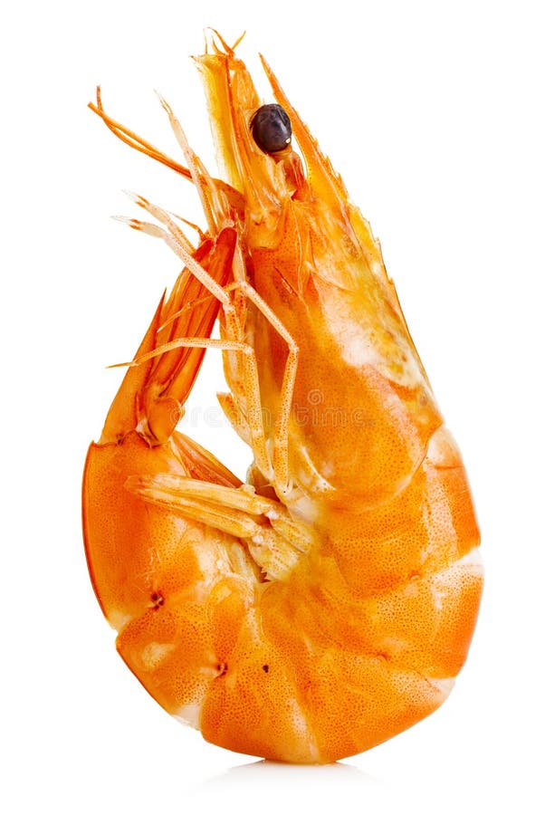 King prawn stock photo. Image of horizontal, vertical - 13974324