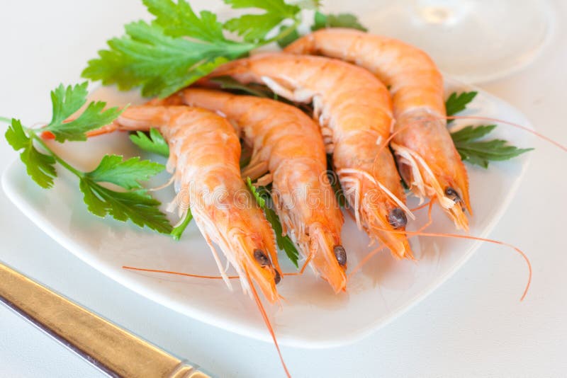 Tiger shrimps stock image. Image of seafood, krill, food - 19993485