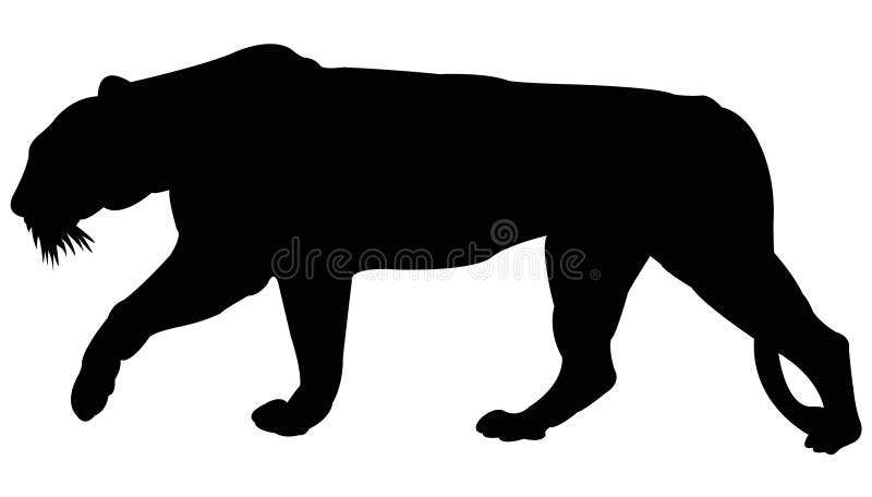 Tiger Silhouette