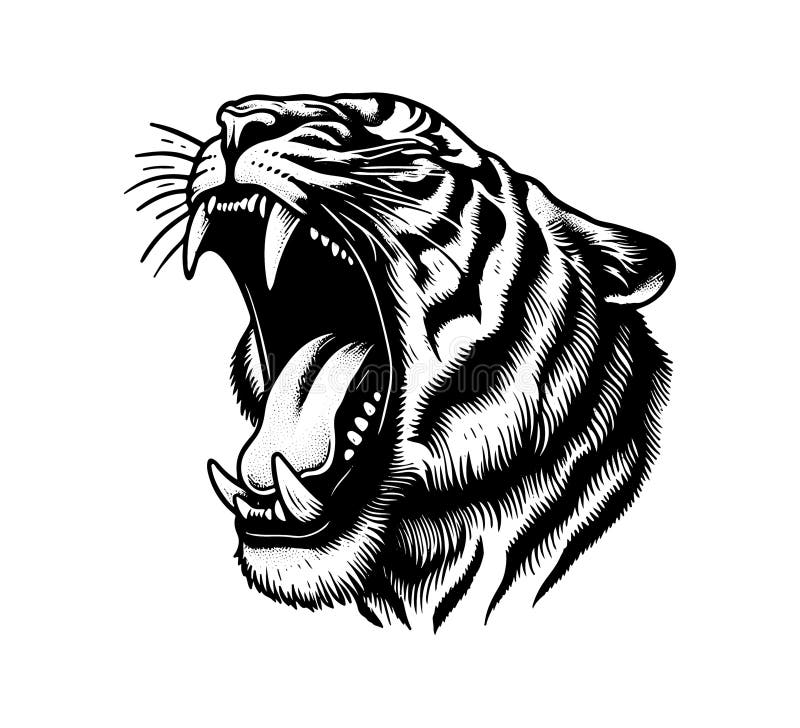 Tiger Simple Vintage Hand Drawn Vector Stock Illustration ...
