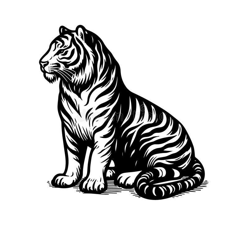 Tiger Simple Vintage Hand Drawn Vector Stock Illustration ...