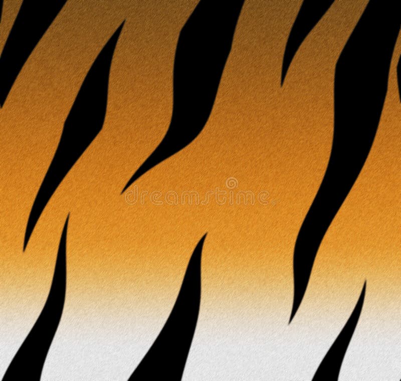 Tiger skin stock vector. Illustration of skin, natural - 10027315